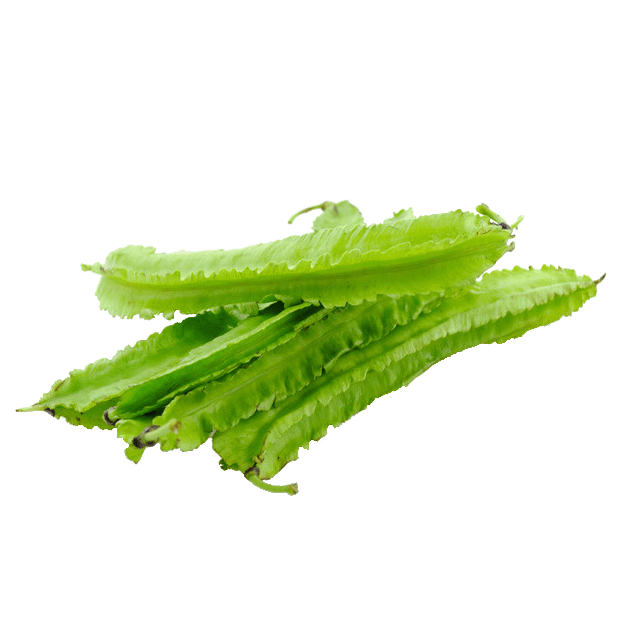 Four Angle Bean 四棱豆 (300g+-) – Floralife Sdn Bhd