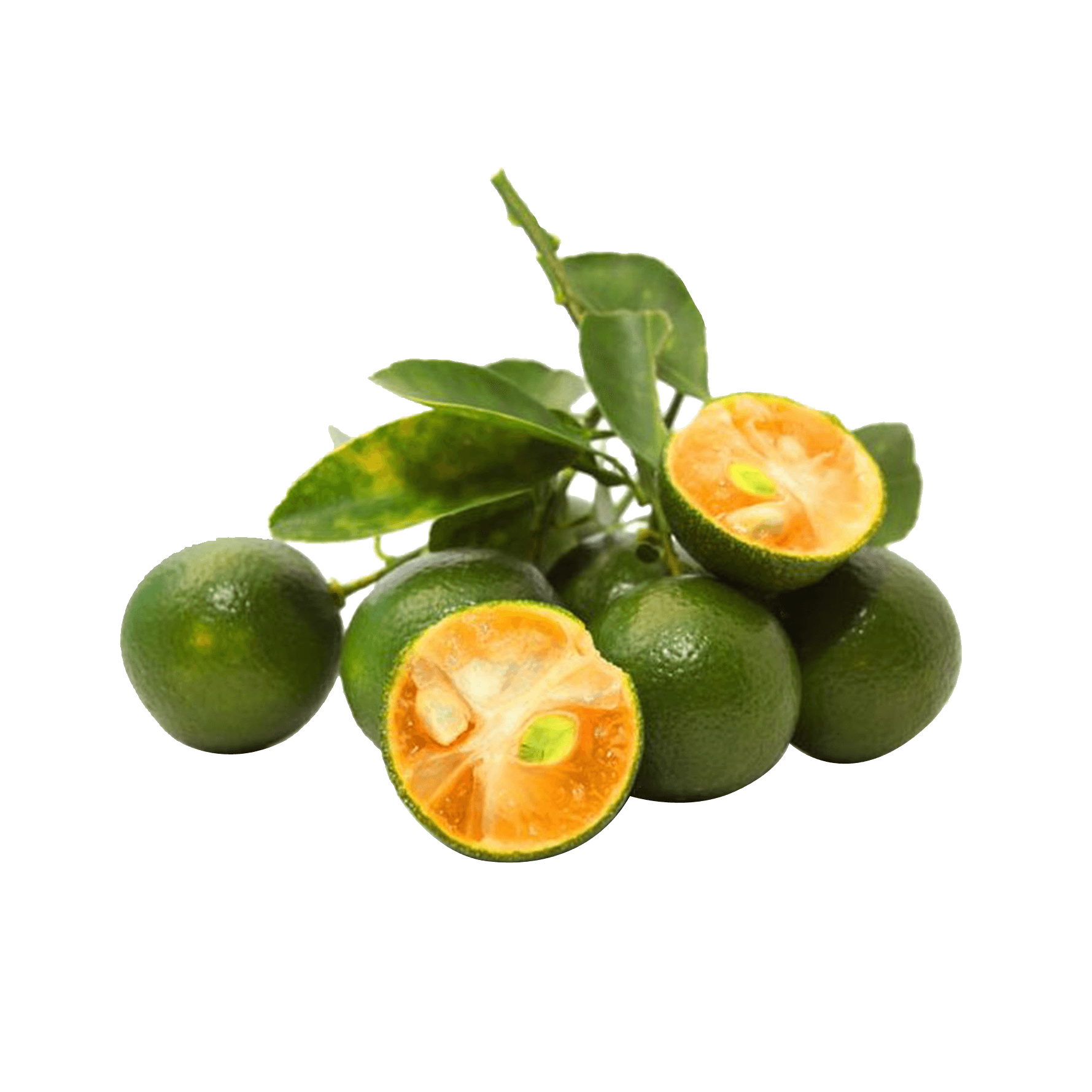 Limau 酸柑 – Floralife Sdn Bhd